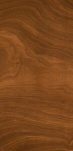 Caring, Thorough Optometry | Gresham | Gresham Optical